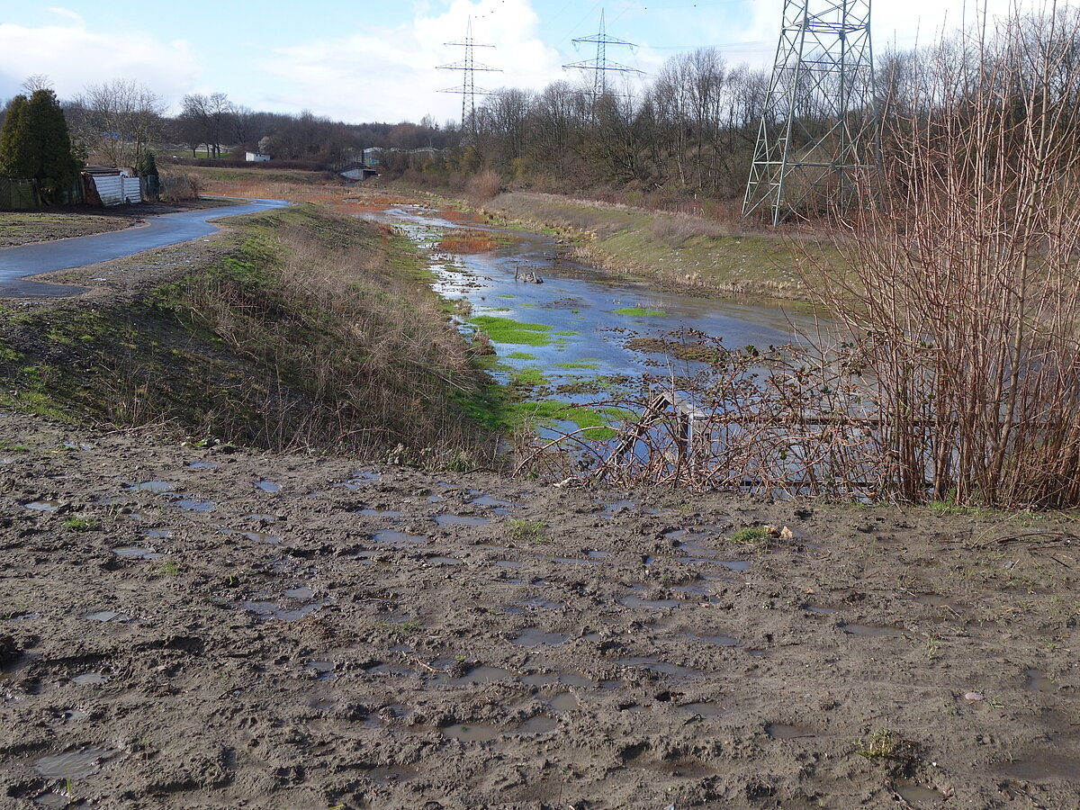 Ausbau der Boye zu einem Biotopverbundsystem