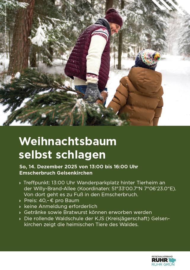 Weihnachtsbäume selbst schlagen